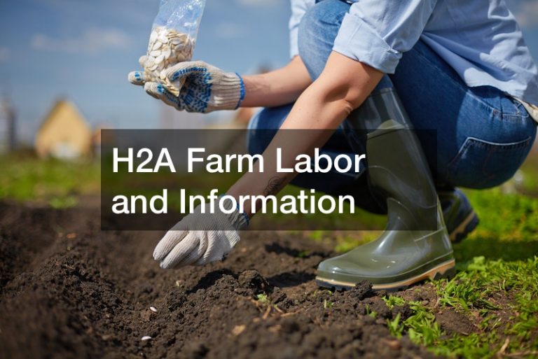 H2A Farm Labor and Information - Memphis Small Business Newsletter